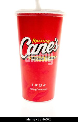 Raising Cane's is an American fast food restaurant chain that ...