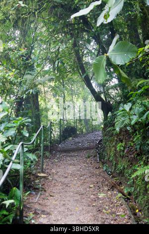 Monteverde Cloud Forest, Costa Rica Stock Photo - Alamy