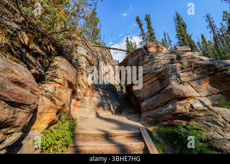 Pathway along the Athabasca Falls in the Jasper National Park before ...
