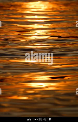 Seething water from under a boat at sunset Stock Photo - Alamy