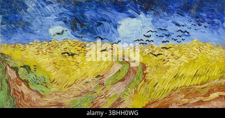 Korenveld met kraaien Stock Photo - Alamy