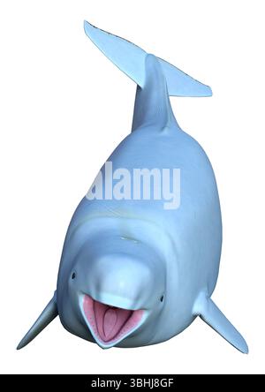 3D rendering of a female beluga white whale isolated on white ...