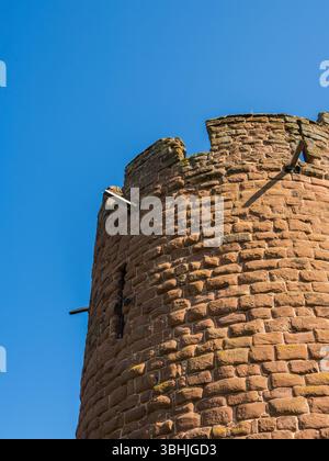 The Water Tower, Ruin, Chester City Walls, Chester, Cheshire, England ...