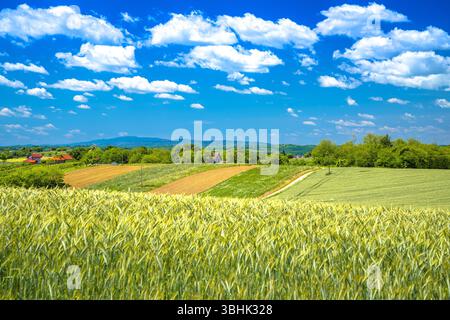 Hay fields under cloudy sky view, agricultural landscape of Prigorje ...