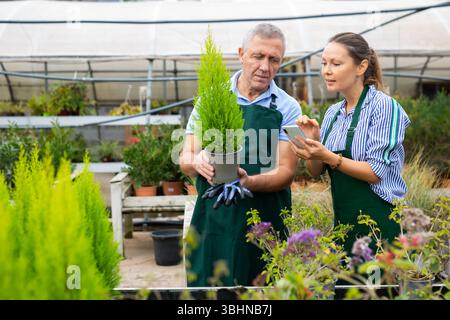 Owner of flower farm tells an elderly gardener how to take pictures of ...