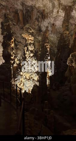Karst landscape in winter in Slovenian forest Stock Photo - Alamy