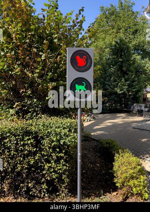 Traffic light for cats on pedestrian street Kurortny prospect at autumn ...