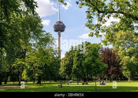 the Stadtgarten public park and the Colonius television tower, Cologne ...