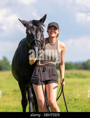 A closeup of a beautiful horse in nature during the daytime Stock Photo ...