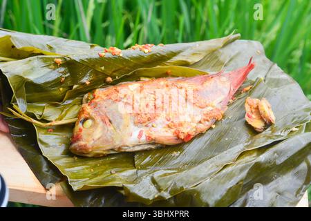 Processed tilapia fish steamed using banana leaves and cooked ...