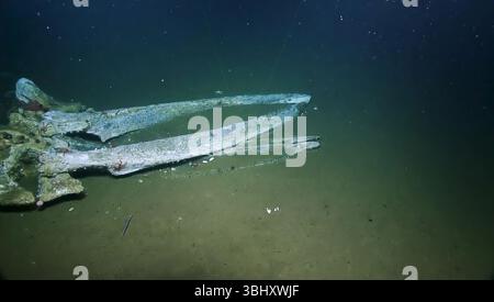 Deep Sea Megalodon Bones Deep Ocean Exploration Mariana Trench 2025 ...