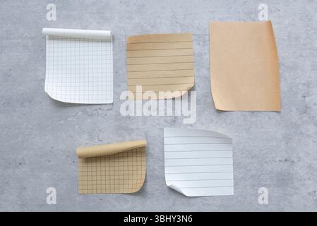 Variety of Paper Types: Lined, Grid, and Plain Sheets on a Gray Surface ...