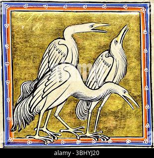 The Aberdeen Bestiary, a medieval illuminated manuscript, includes a ...