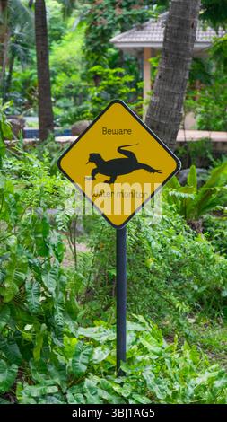 Large Asian water monitor at the riverbank of the Rekawa lagoon Stock ...