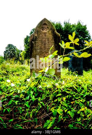 aged tombstone in rustic cemetery Stock Photo - Alamy