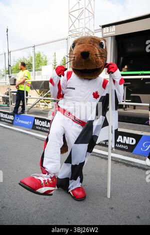 Circuit atmosphere - fans in the grandstand. 07.09.2025. Formula 1 ...