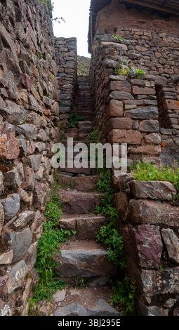 Inca Trail trekking path with ruins in the wild jungle with fog. Peru ...