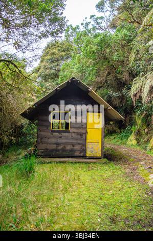 a wooden cabin surrounded by greenery in the daylight Stock Photo - Alamy