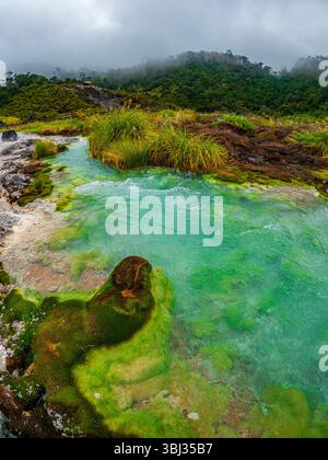 Stunning view of the San Juan hot springs in Purace, Cauca, Colombia ...