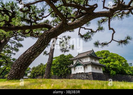 Japanese Castle Surrounded by Trees at the Imperial Palace Gardens in ...