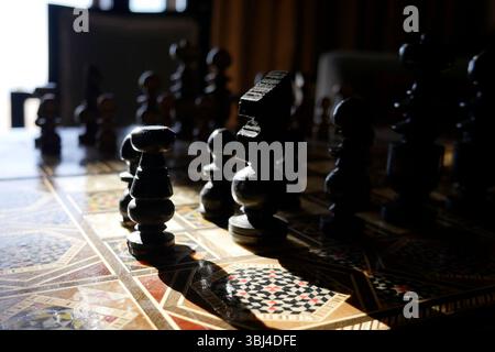 Bushes, Man, Portrait, Light, shadow Stock Photo - Alamy