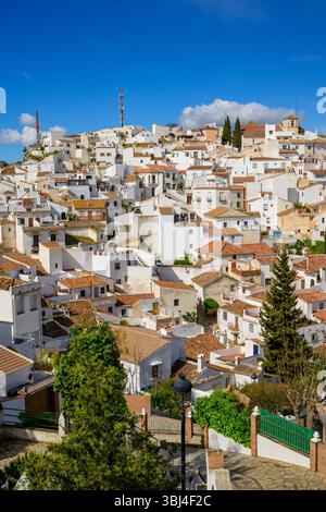 The white village of Comares, in the Axarquia region of Andalucia ...