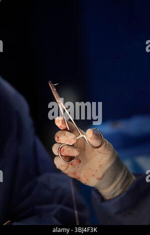 detail of doctor suturing a wound Stock Photo - Alamy