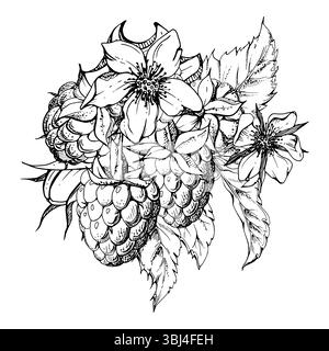 Raspberry flower buds, leaves asymmetrical bunch cluster group, hand ...