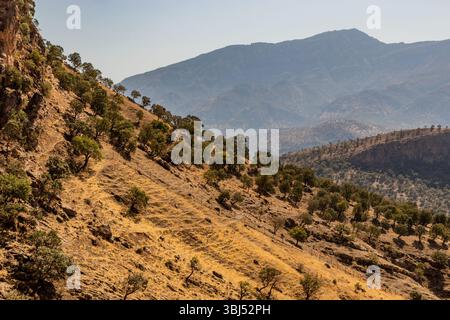 Mountains near Shanidar cave, Kurdistan Region of Iraq Stock Photo - Alamy