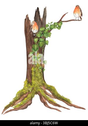 Ivy branch clipart with green climbing leaves isolated on background ...