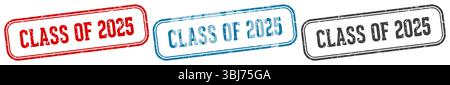Class of 2025 grunge rubber stamp on white, vector illustration Stock ...