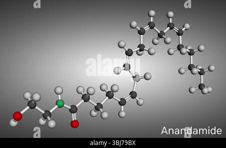 Anandamide, ANA molecule. Endocannabinoid neurotransmitter involved in ...
