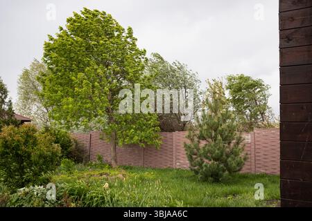 Wooden fence against the strong wind coming down from the top of the ...