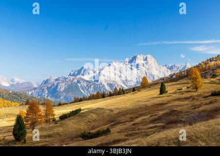 Picturesque alpine meadow at the foot of the Dolomites covered with ...
