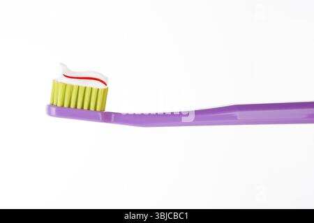 Toothpaste on a purple toothbrush on lilac background. Close up macro ...