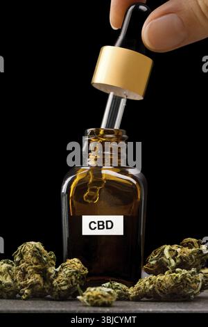 Plant in laboratory medical marijuana cannabis oil Stock Photo - Alamy