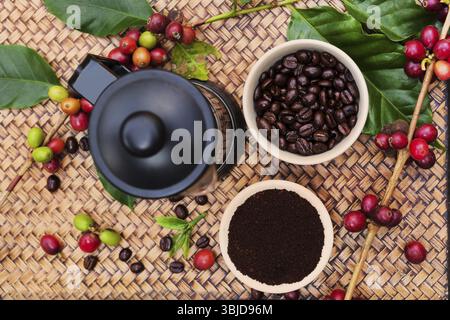 Cofffea fruits, leaves, roasted coffee beans Stock Photo - Alamy