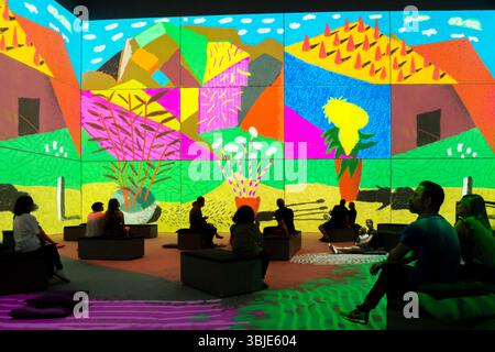 Visitors to the "David Hockney: Bigger & Closer (not smaller & further ...