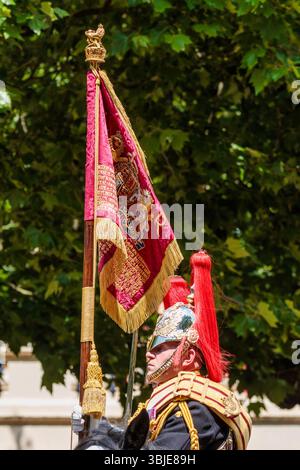 The Trooping the Colour ceremony, celebrating the British Sovereign's ...