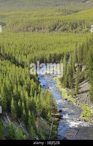 Yellowstone River landscape with beautiful forest reflection in ...