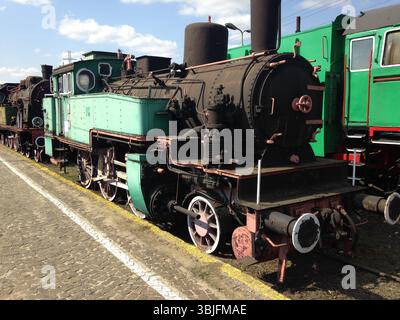Historic steam locomotives at the Warsaw Railway Museum, including rare ...