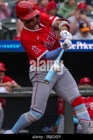 Los Angeles Angels' Zach Neto celebrates with first base coach Adam ...