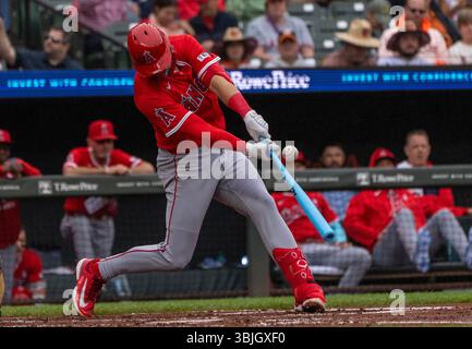 Los Angeles Angels' Kevin Newman looks back after scoring during the ...