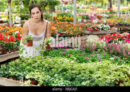 Spaniard woman examining variegated hedera in pots at garden center ...