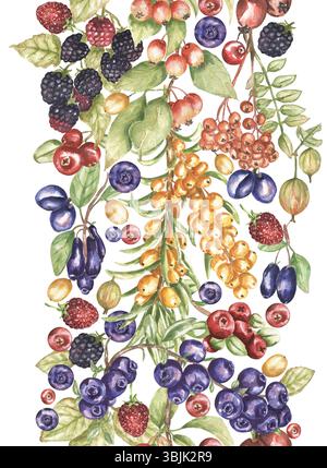 Hand-Painted Watercolor Blueberry and Gooseberry Botanical Illustration ...