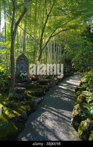 Hokokuji Temple, also known as "Bamboo Temple,” Kamakura, Japan Stock ...