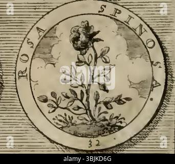 This engraving by Christoph Weigel the Elder depicts Empress Eleonora ...