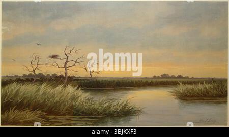 Jersey Marshes, South New Jersey by George Emerick Essig Stock Photo ...