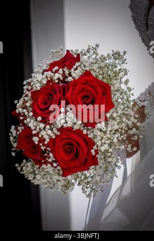 stunning floral texture of colorful roses in water on blue background ...