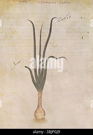 This 6th-century depiction from the Wiener Dioskurides manuscript ...